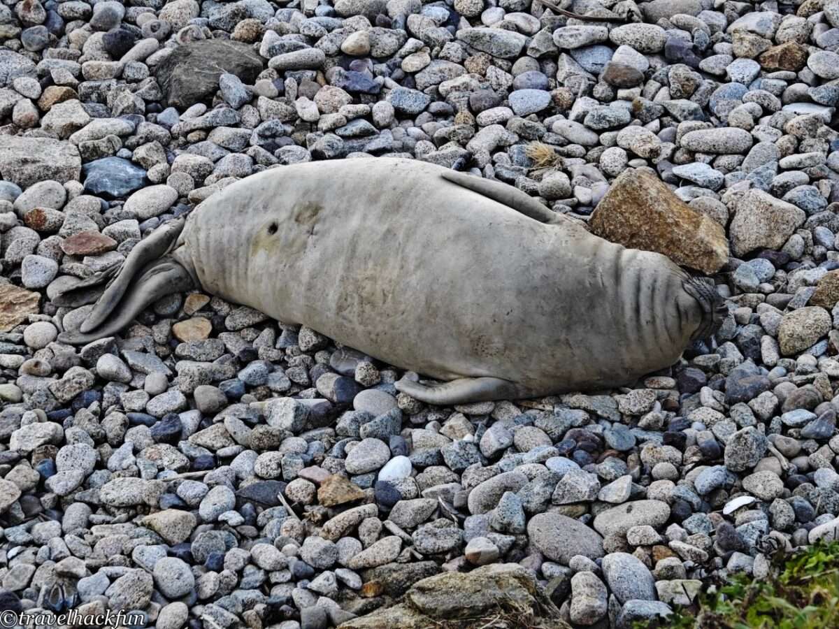 Point Reyes National Seashore: A Must-Visit Destination in Northern ...