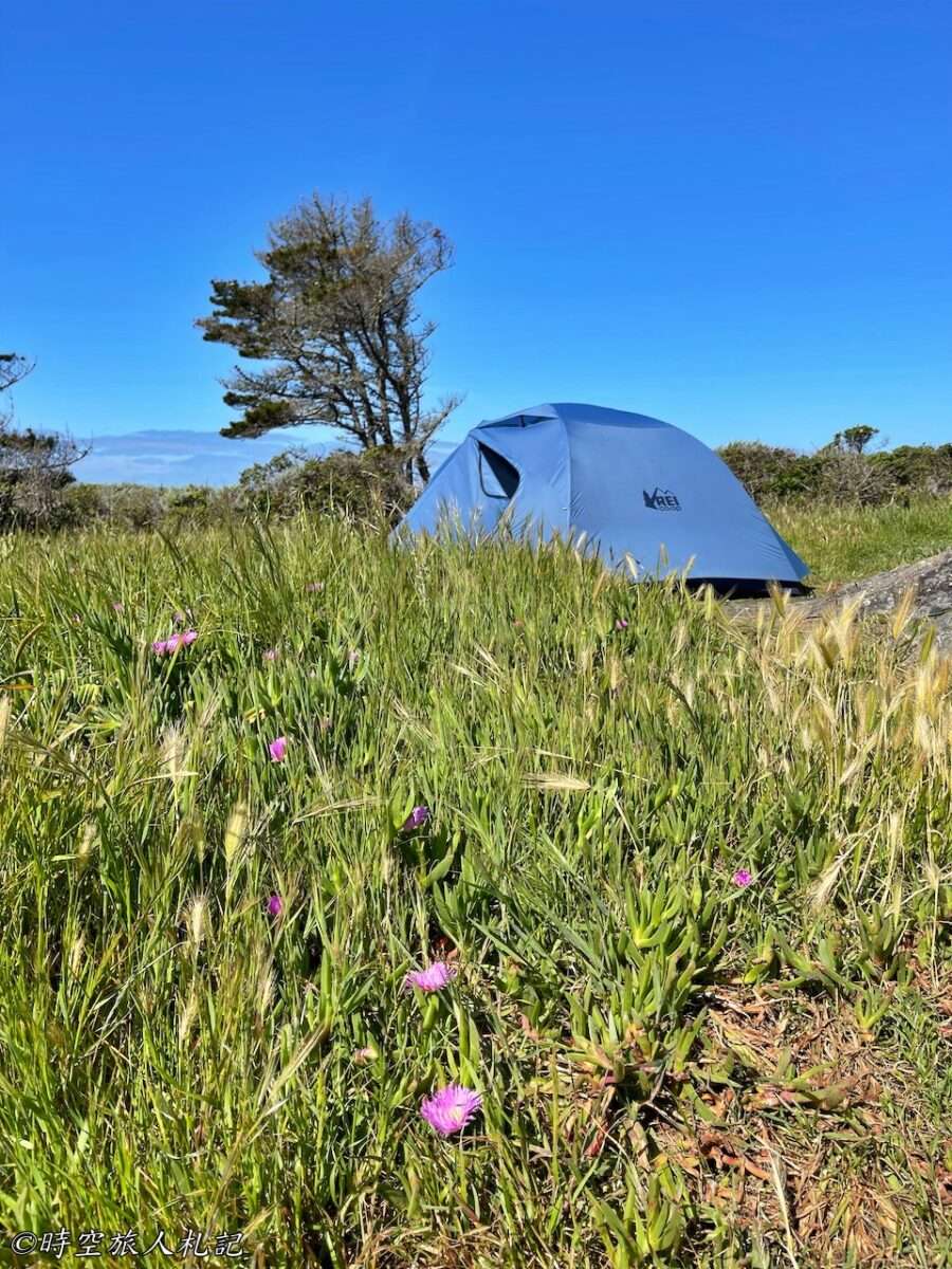 Steep Ravine Campground @ Mount Tamalpais State Park - Time Traveler's ...