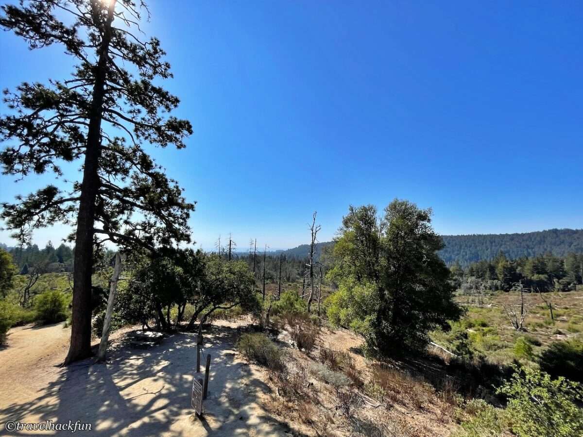 Redwoods & Railroads: A Classic Day Trip to Henry Cowell and Roaring ...