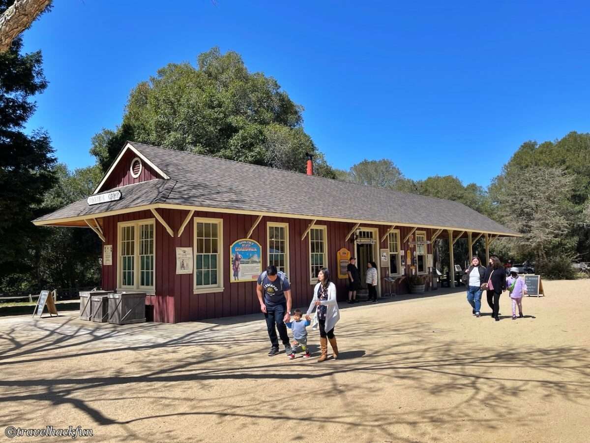 Redwoods & Railroads: A Classic Day Trip to Henry Cowell and Roaring ...