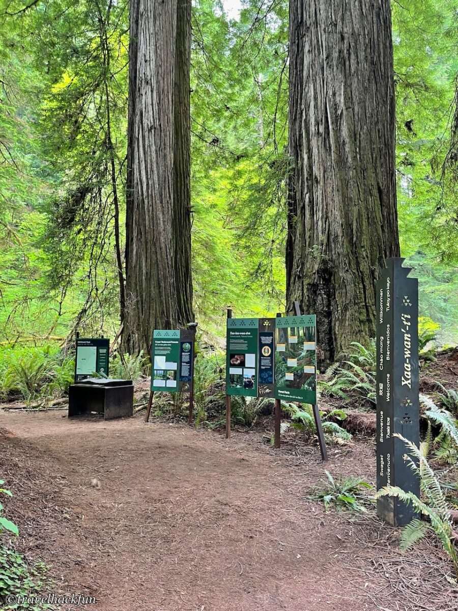 【紅木國家公園 Redwood National Park】Hiouchi 區域 | Jedediah Smith Redwoods ...