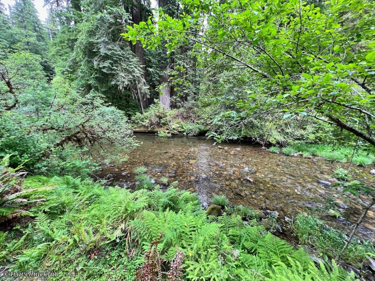 【紅木國家公園 Redwood National Park】Hiouchi 區域 | Jedediah Smith Redwoods ...