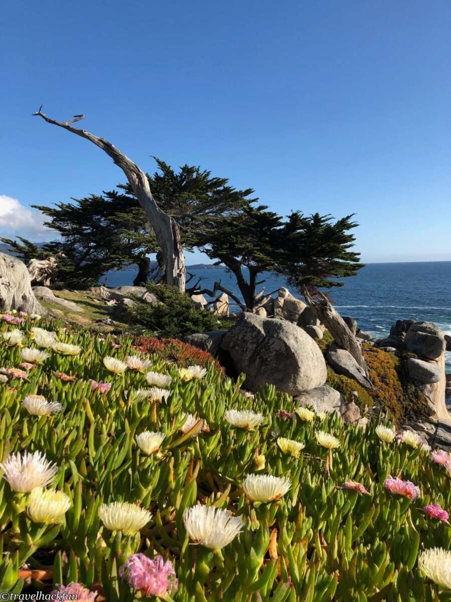 【中加州景點】Monterey 17 miles drive 一日遊 | Top 6景點整理 - 時空旅人札記