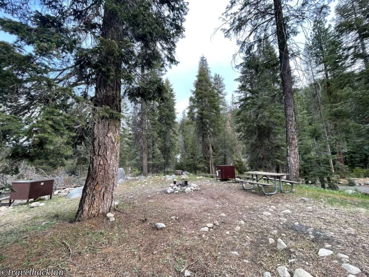 Sequoia National Park Ultimate Travel Guide | Day Trip Itinerary | The ...