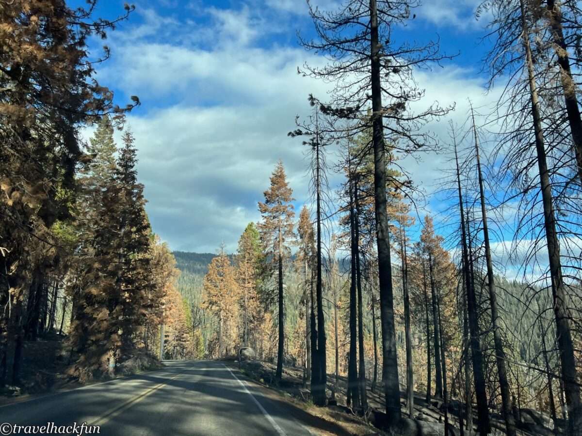 【紅杉與國王峽谷國家公園 Sequoia and Kings Canyon National Park】Sequoia National ...