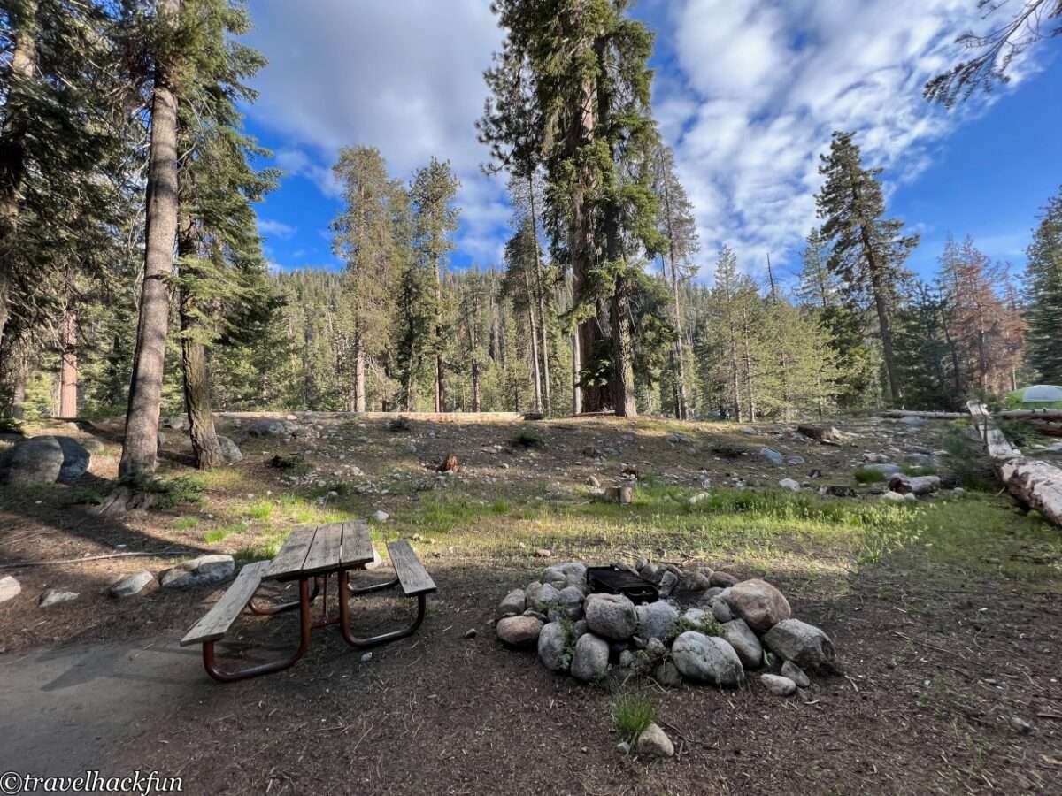 Sequoia National Park Ultimate Travel Guide | Day Trip Itinerary | The ...