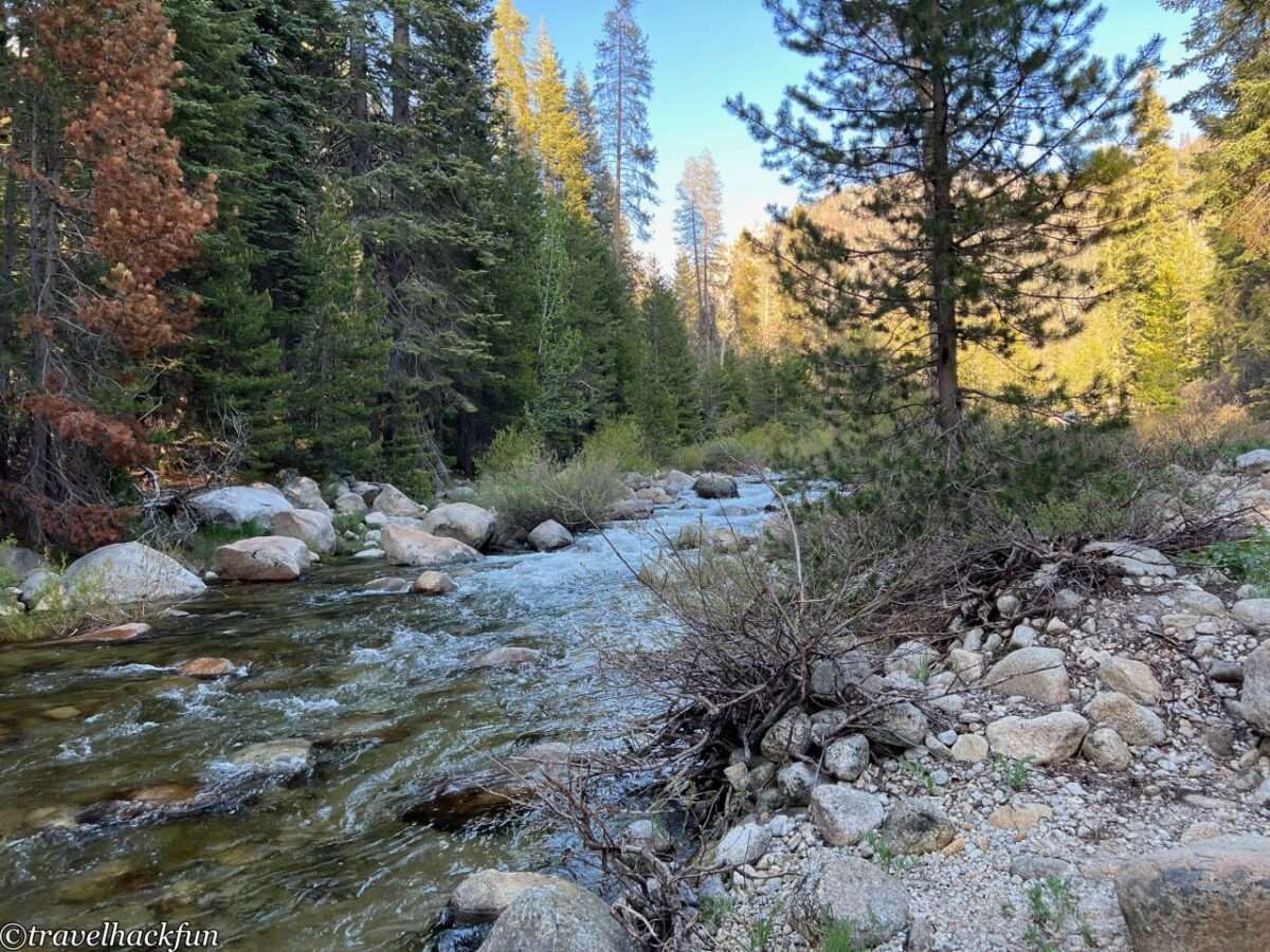 Sequoia National Park Ultimate Travel Guide | Day Trip Itinerary | The ...