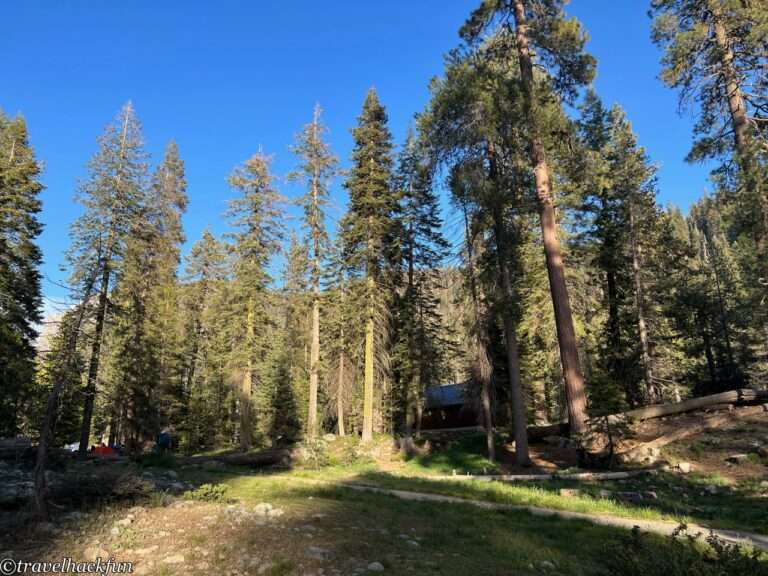 Sequoia National Park Ultimate Travel Guide | Day Trip Itinerary | The ...