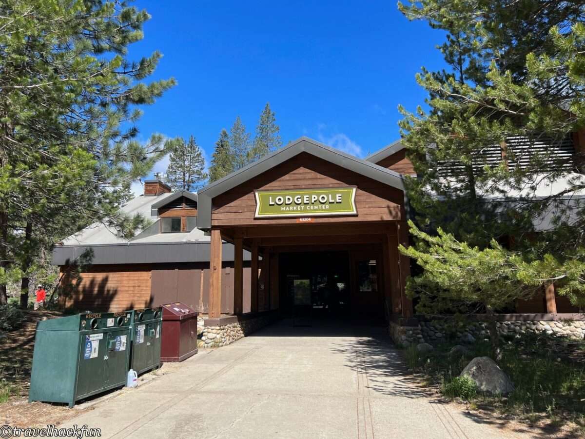 Sequoia National Park Ultimate Travel Guide | Day Trip Itinerary | The ...