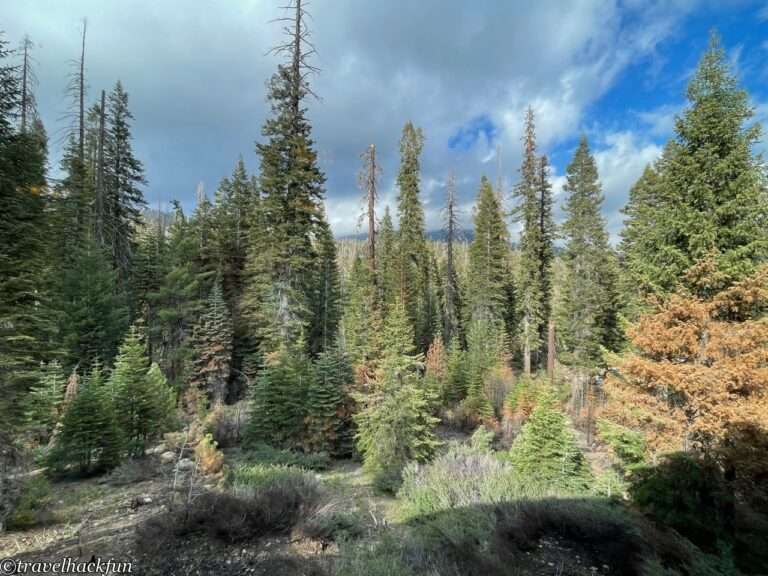 Sequoia National Park Ultimate Travel Guide | Day Trip Itinerary | The ...