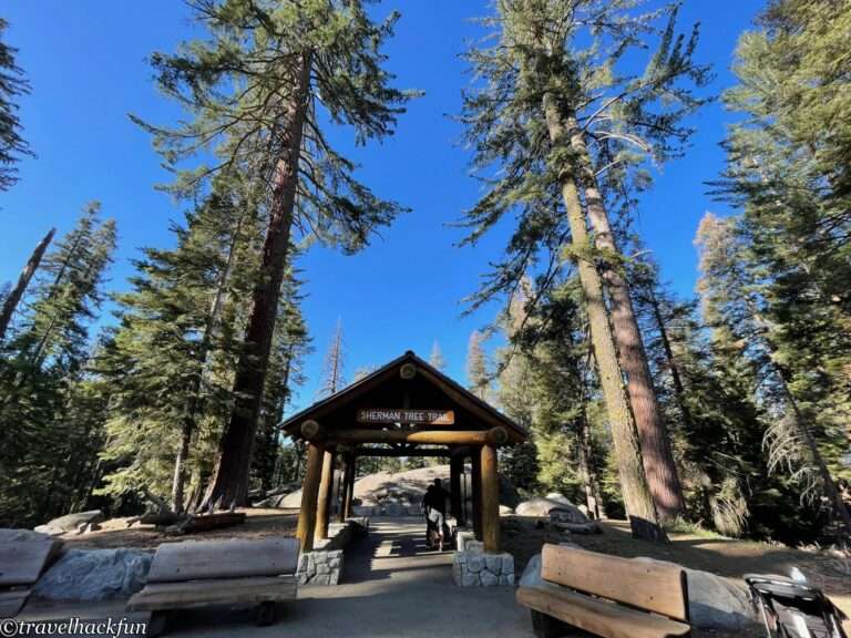 Sequoia National Park Ultimate Travel Guide | Day Trip Itinerary | The ...