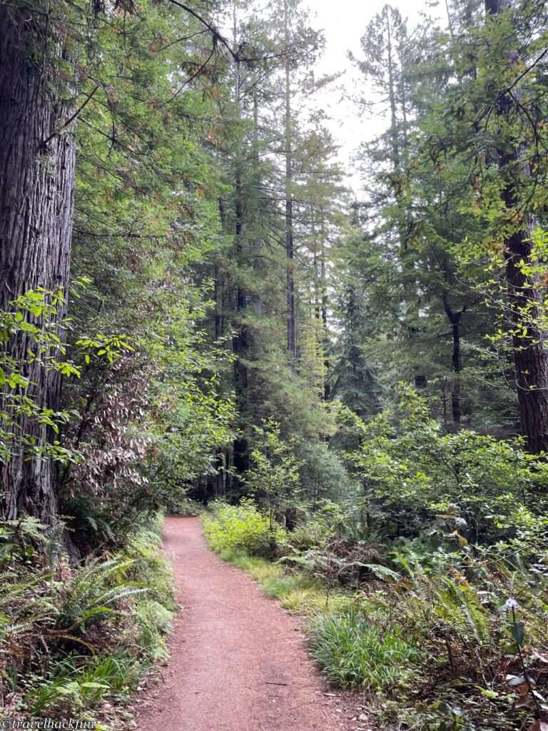 Mendocino Coast | Van Damme State Park - Time Traveler's Notes