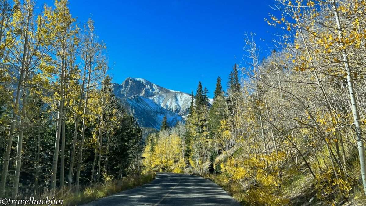 Nevada's Gem: A Complete Guide to Great Basin National Park ...