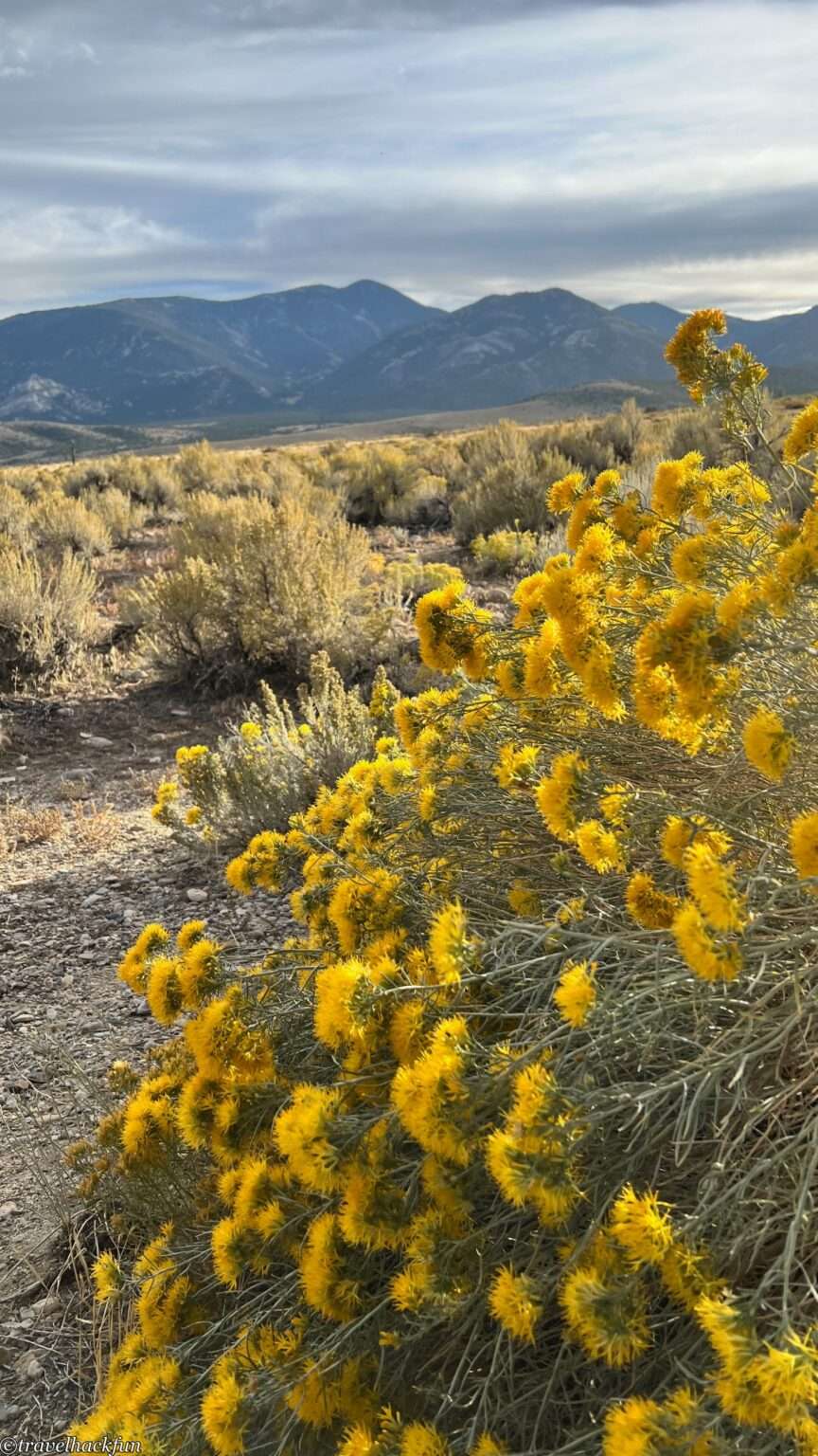 Nevada's Gem: A Complete Guide to Great Basin National Park ...