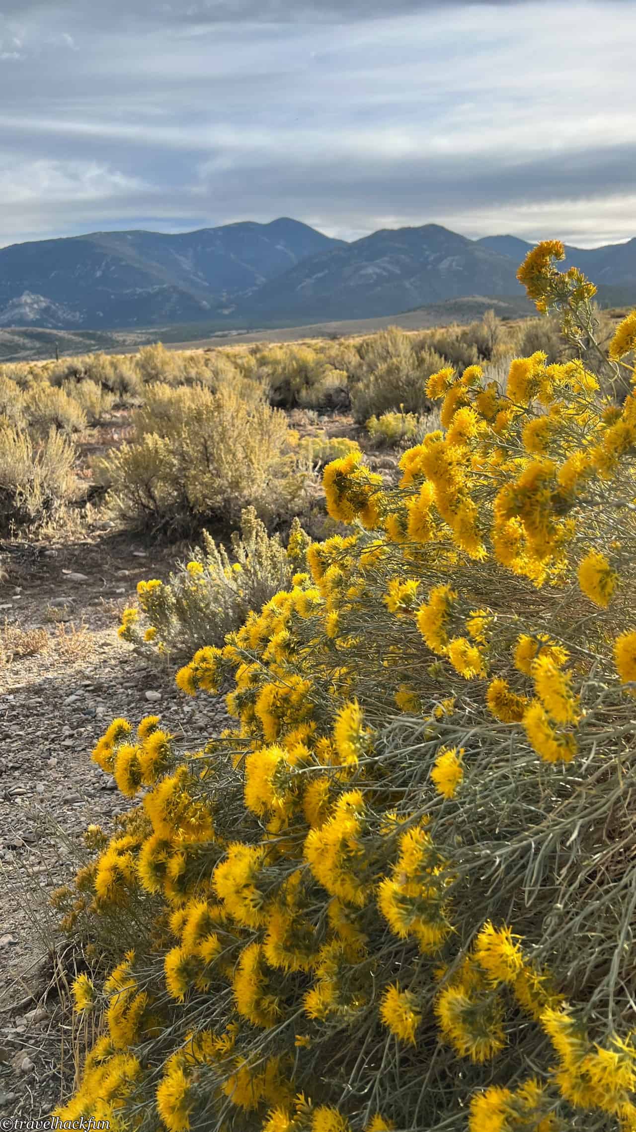 Nevada's Gem: A Complete Guide to Great Basin National Park ...