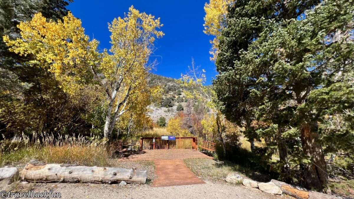 Nevada's Gem: A Complete Guide to Great Basin National Park ...