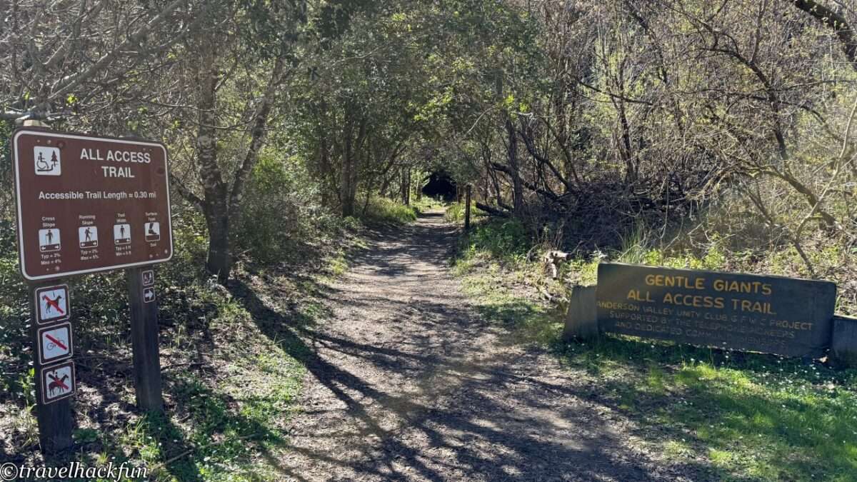 【北加露營景點】Hendy Woods State Park - 時空旅人札記