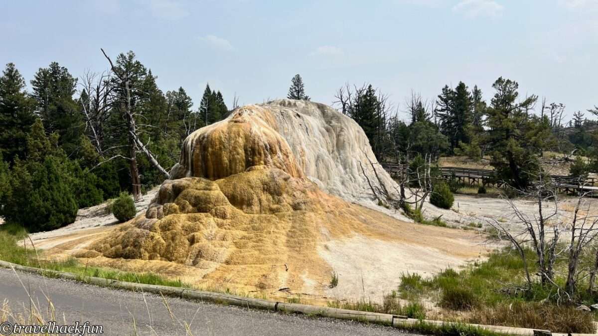 Mammoth Hot Springs Travel Guide: Exploring the Magical Terraced Hot ...