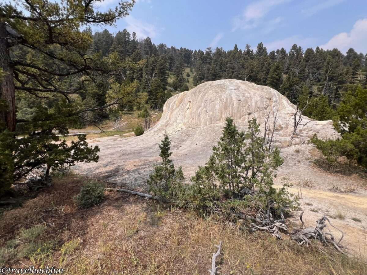Mammoth Hot Springs Travel Guide: Exploring the Magical Terraced Hot ...