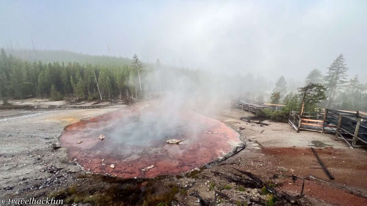 Exploring Norris Geyser Basin And Surrounding Area: The Oldest ...