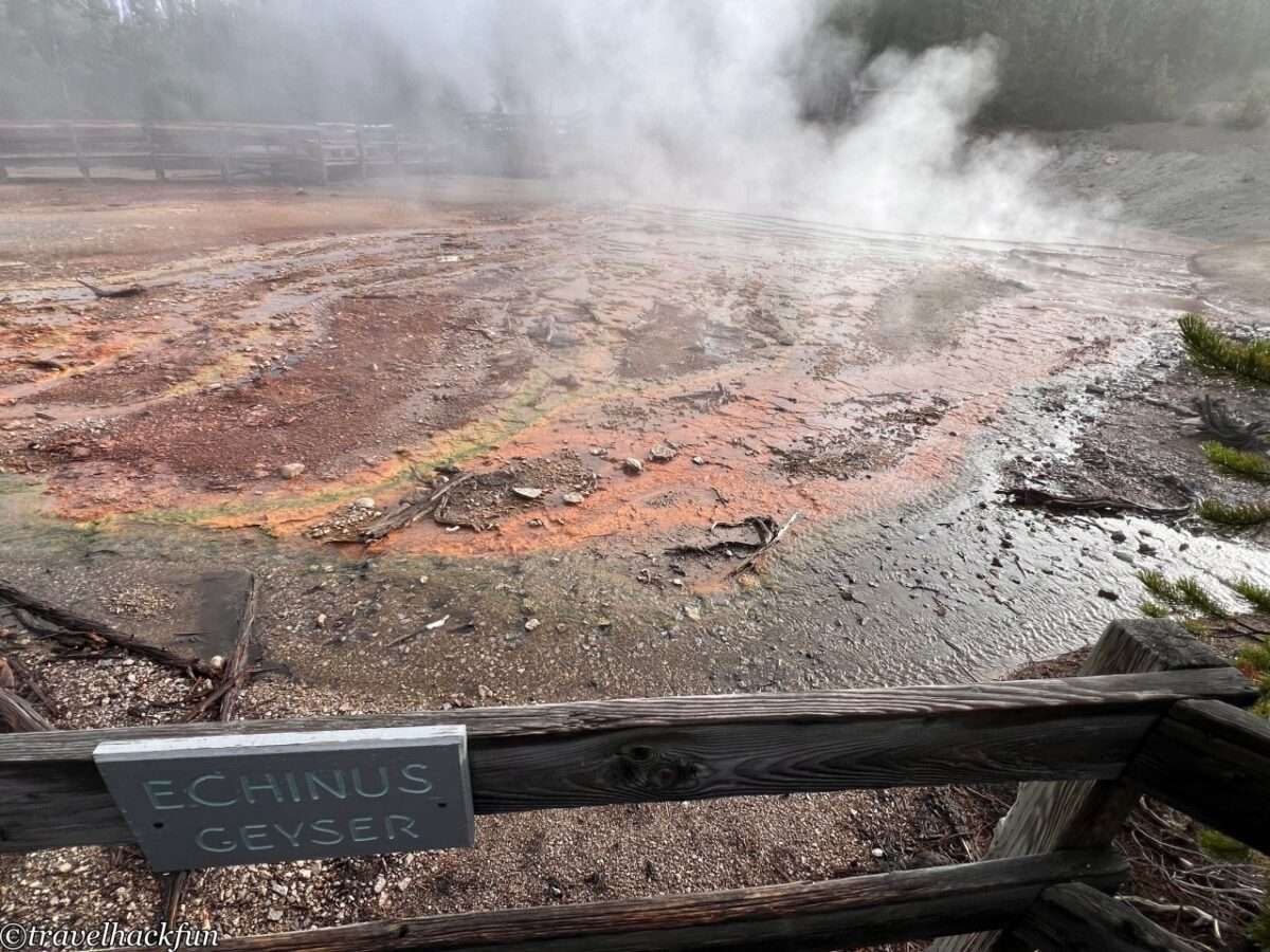 Exploring Norris Geyser Basin And Surrounding Area: The Oldest ...
