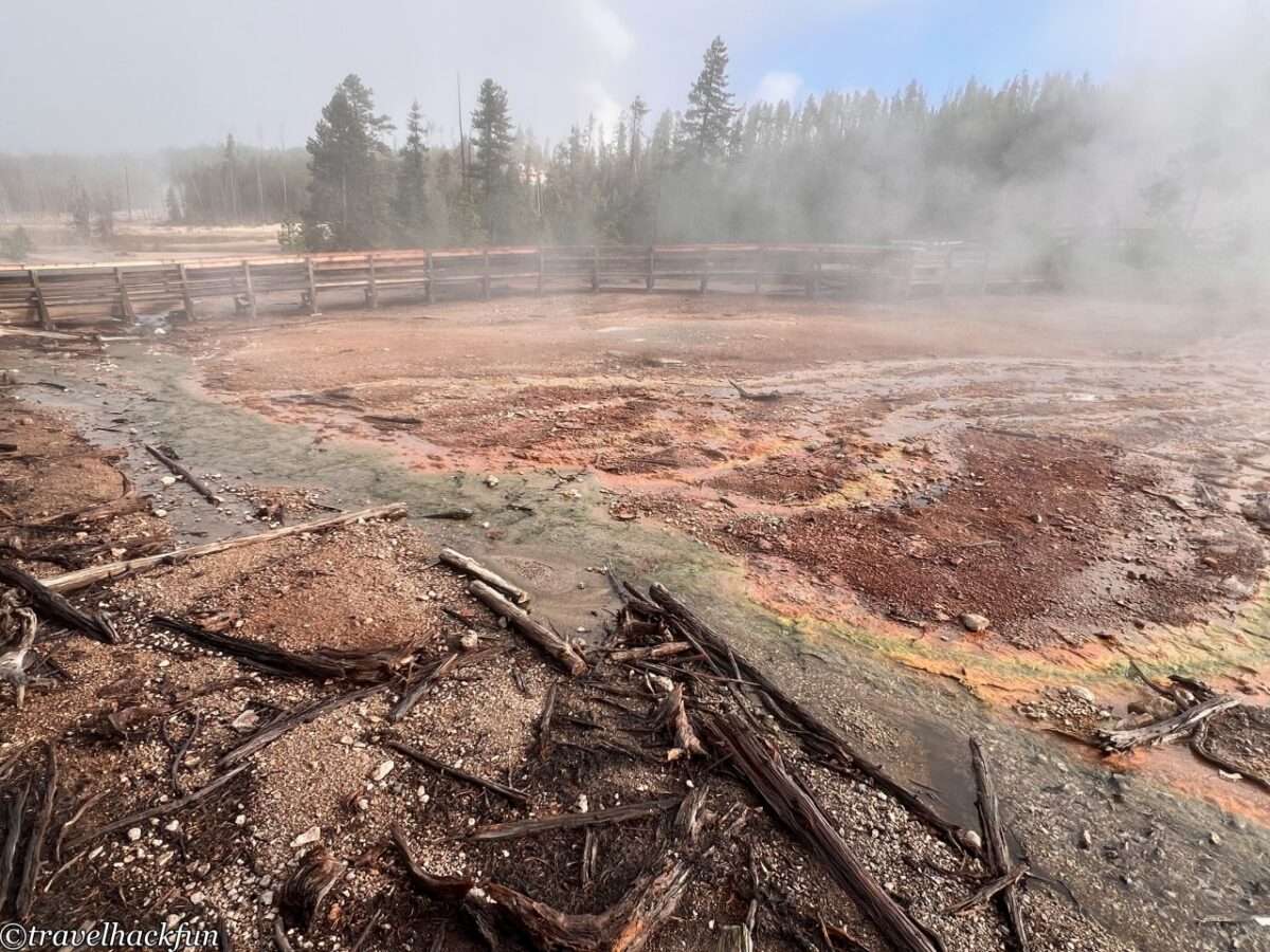 Exploring Norris Geyser Basin And Surrounding Area: The Oldest ...
