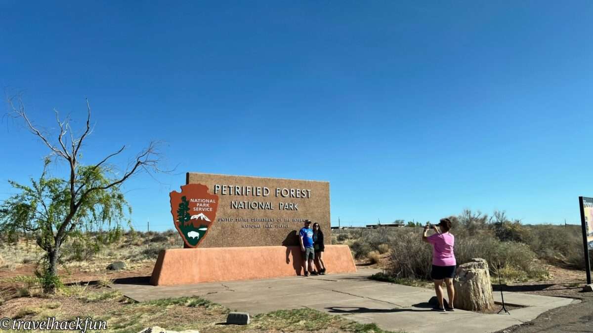 Petrified Forest National Park: More Than Petrified Wood in Arizona’s ...