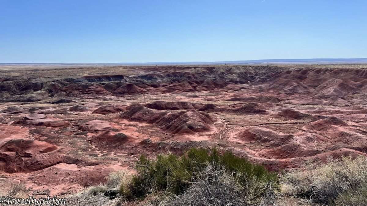 Petrified Forest National Park: More Than Petrified Wood in Arizona’s ...